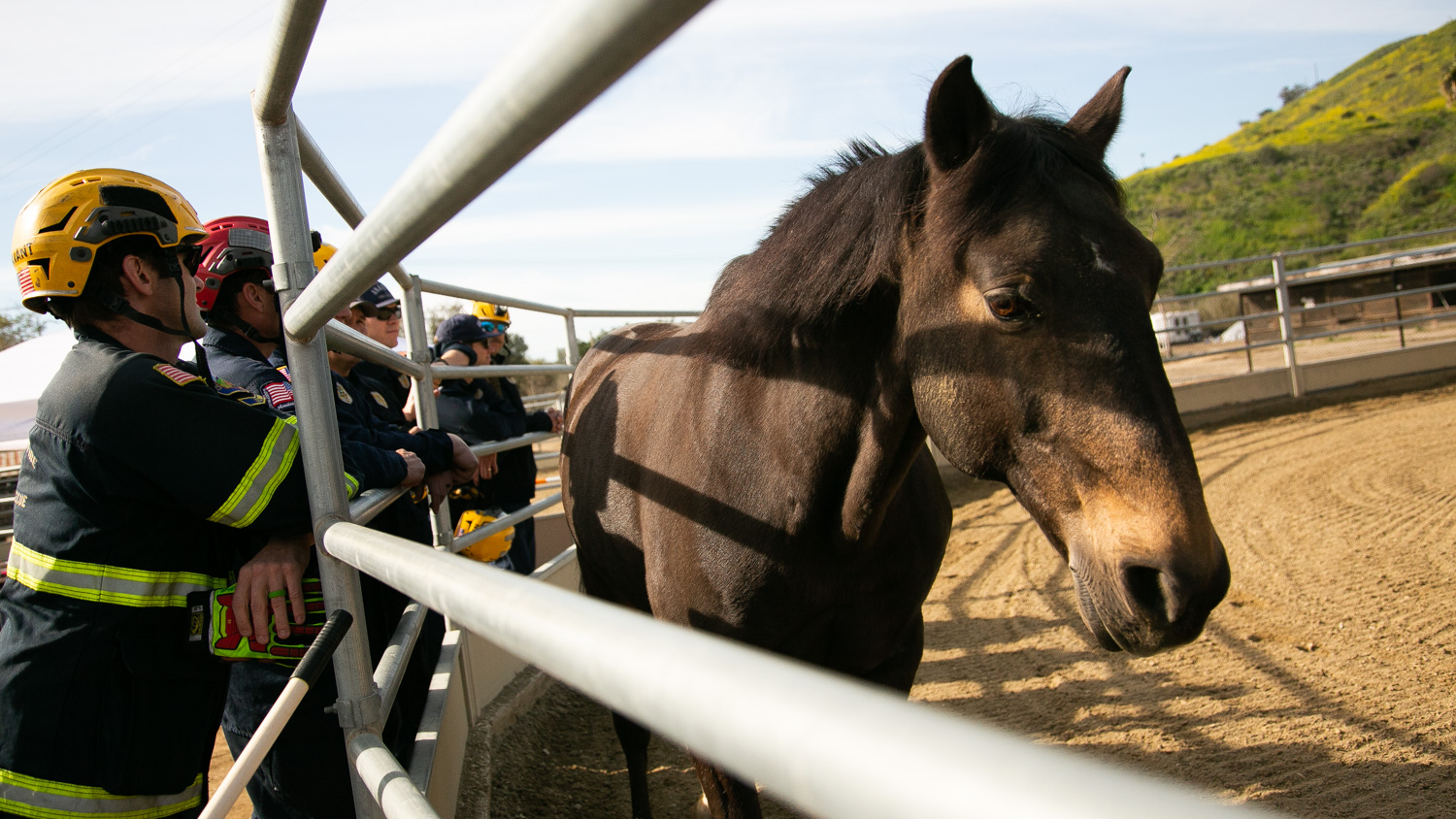 Local Lens: Learning the Ropes