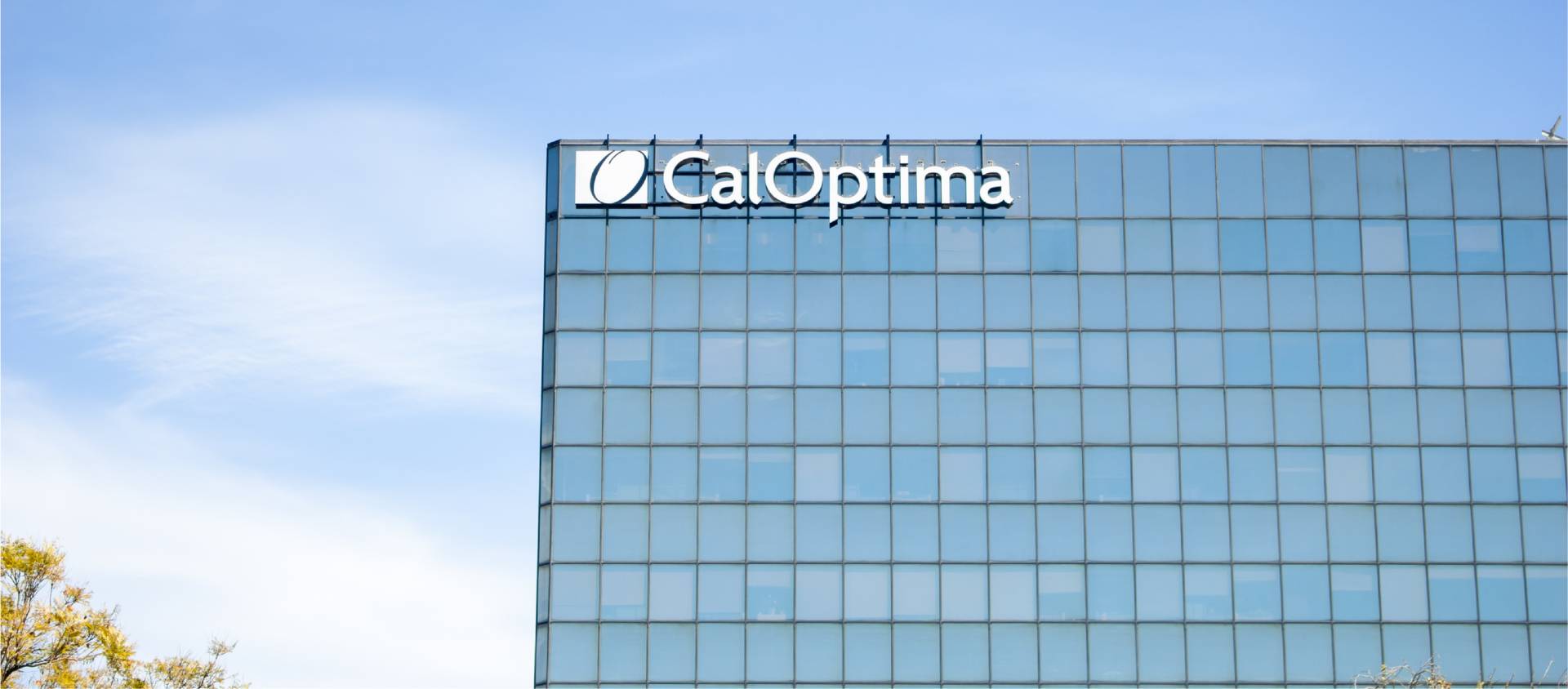 Anderson, Dewane and Cochran: How CalOptima Can Shore Up OC’s Fragile ...