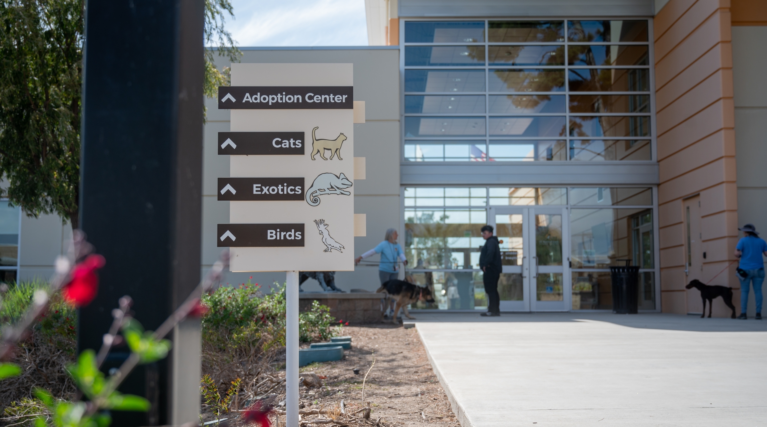 Orange County’s Troubled Animal Shelter Slated for Overhauls