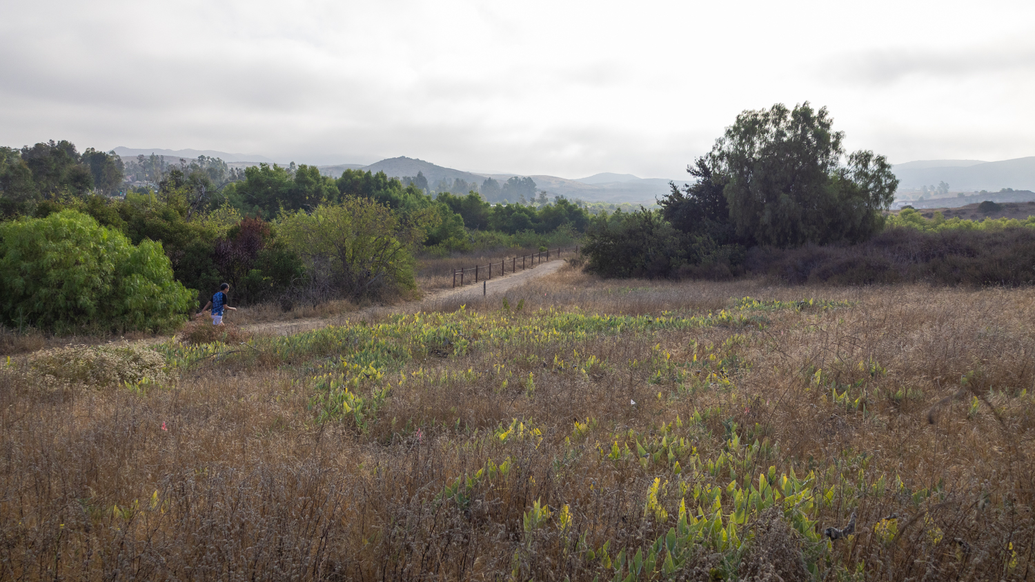 PetersCanyon_Aug2025_Taylor-19 – Voice of OC